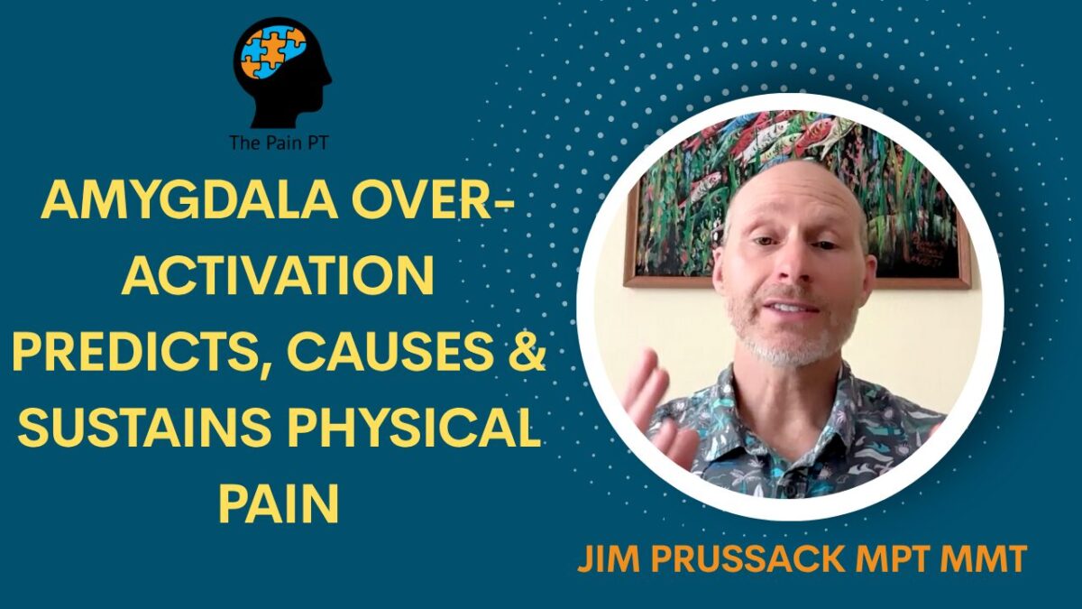 The amygdala plays a role in pain and neuroplastic symptoms - The Pain PT